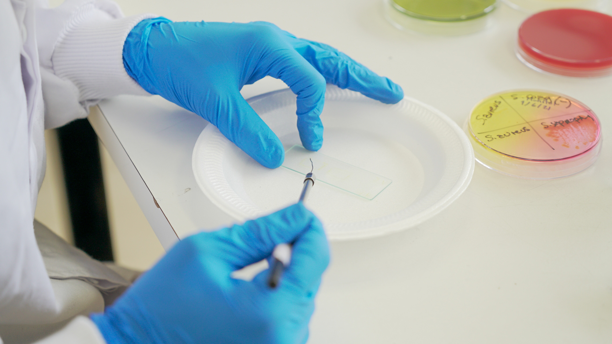 Bioquímica y Farmacia – UCUENCA