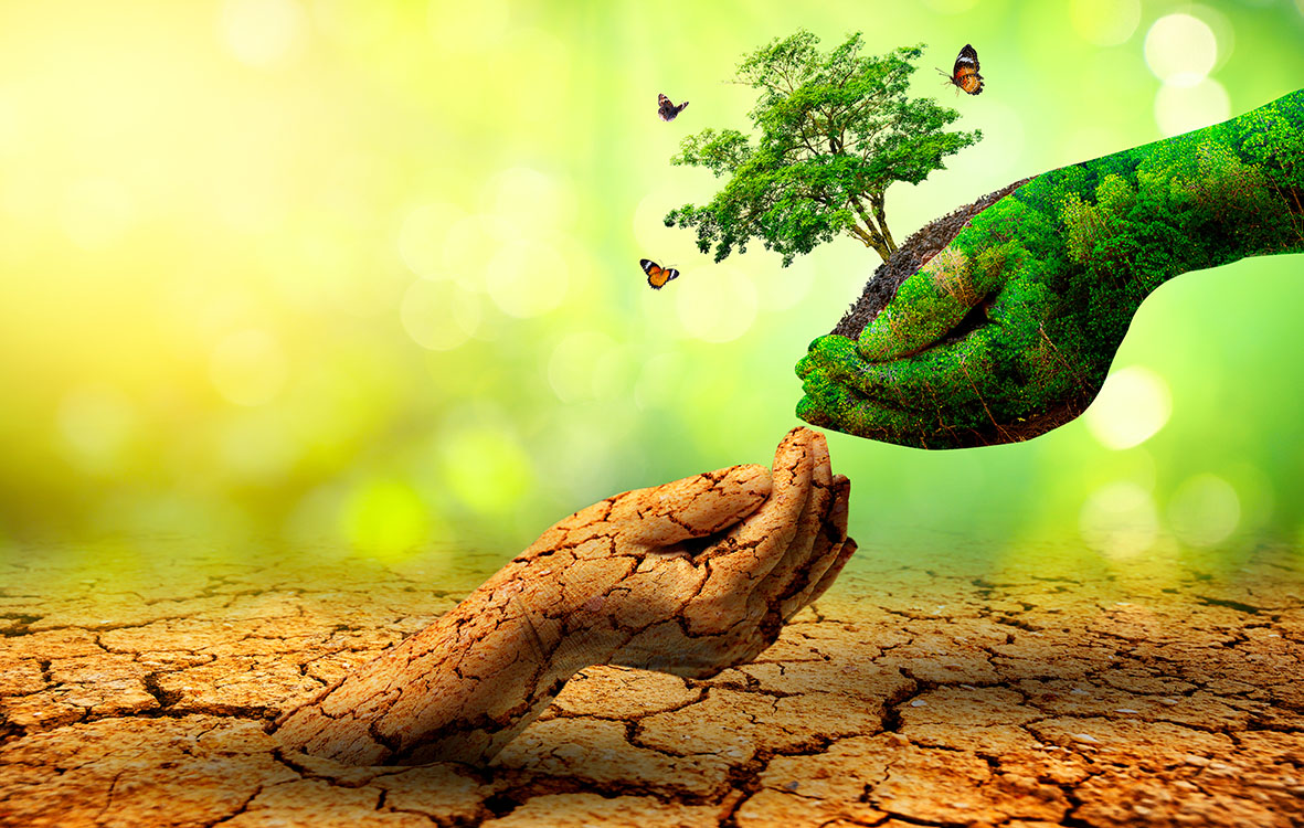 Cápsula | Cambio climático, el inicio de una Catástrofe - UCUENCA